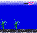 Game Boy Color: Aqualife (Jap)
